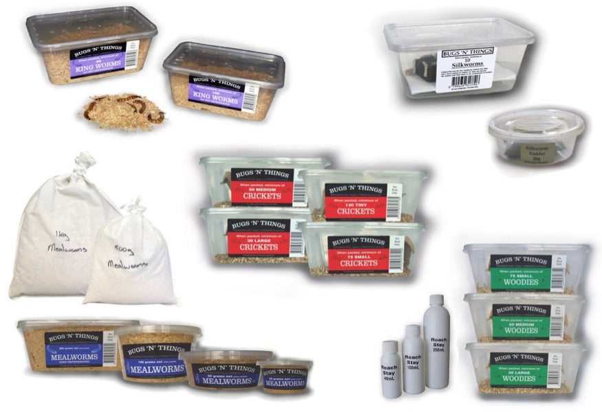 Crickets (Bulk Bags) – Sydney Reptiles