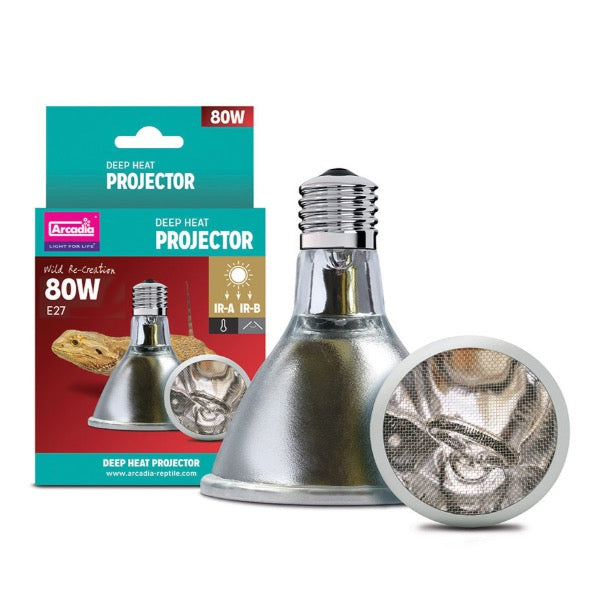 Arcadia Deep Heat Projector – Sydney Reptiles