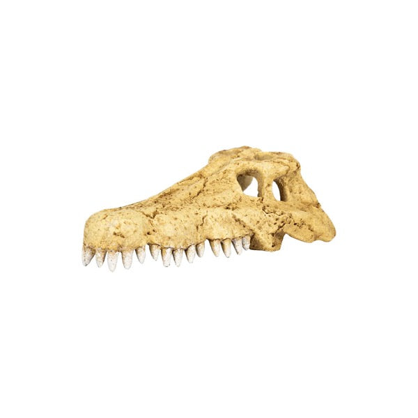 ReptiZoo Crocodile Skull Hide – Sydney Reptiles