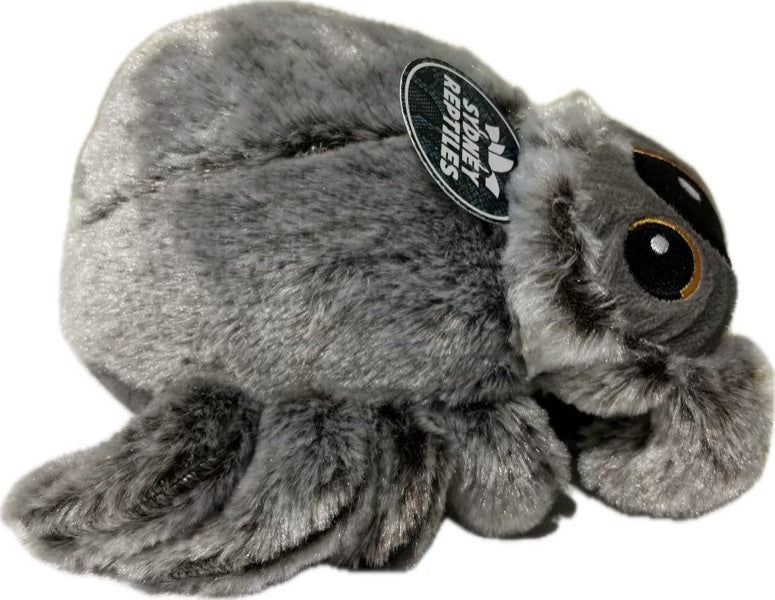 Grey Spider Plushie – Sydney Reptiles